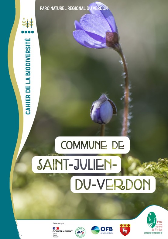 Cahier de la Biodiversité de la commune de Saint-Julien-du-Verdon ...